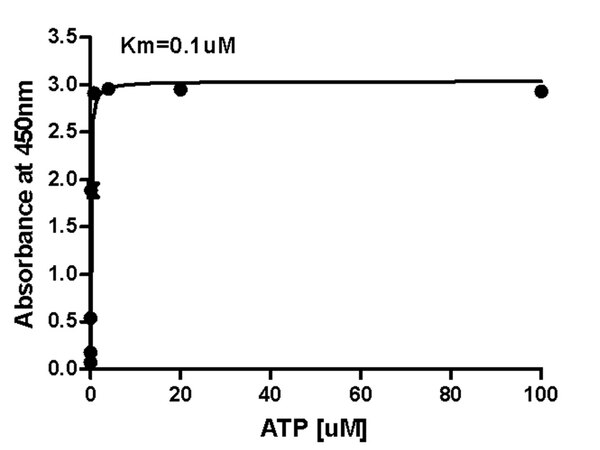 Rho-associated Kinase (ROCK) Activity Assay | CSA001